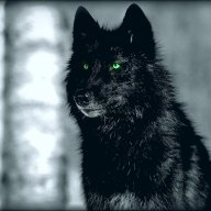 ‘Avatar: Fire and Ash’ | Dec. 19th, 2025 | Page 7 | Sports, Hip Hop ...