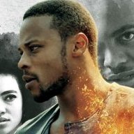 Weaponizing Bugs - Researchers Develop a Living Armour Shield Stronger ...